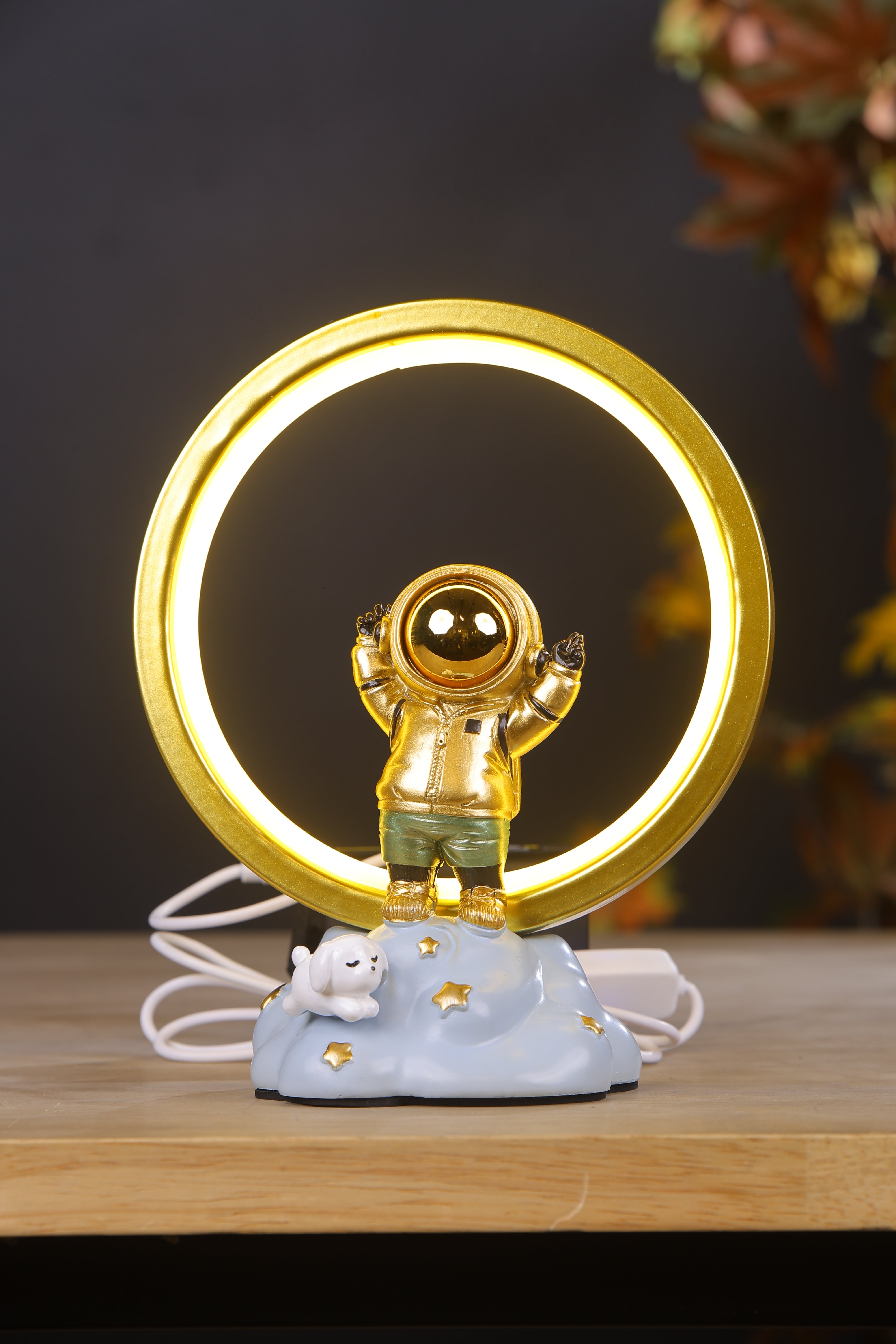 Designer Lamps – Tashiya